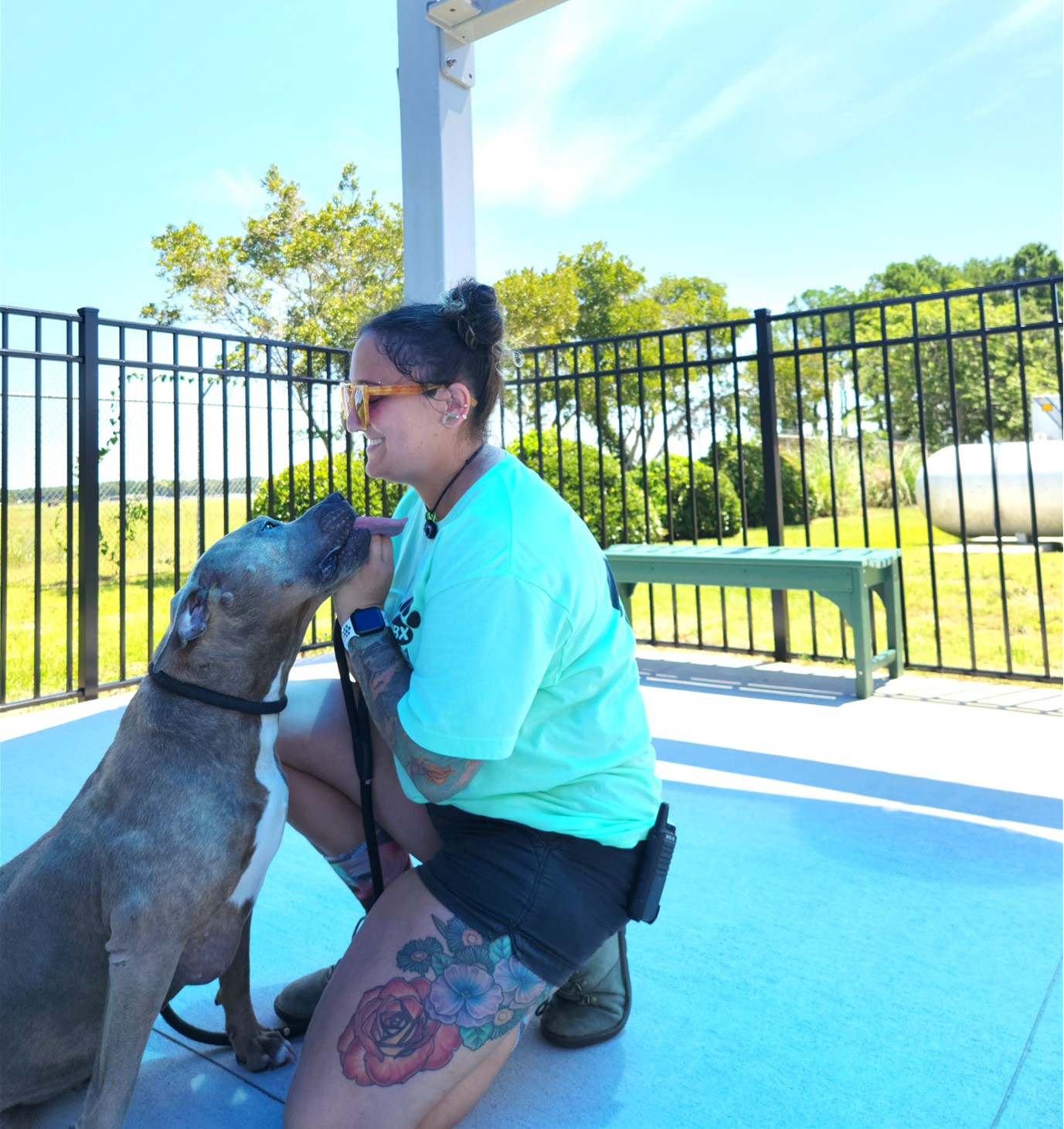 Community Foundation Grant for Outer Banks SPCA New Dog Enrichment ...
